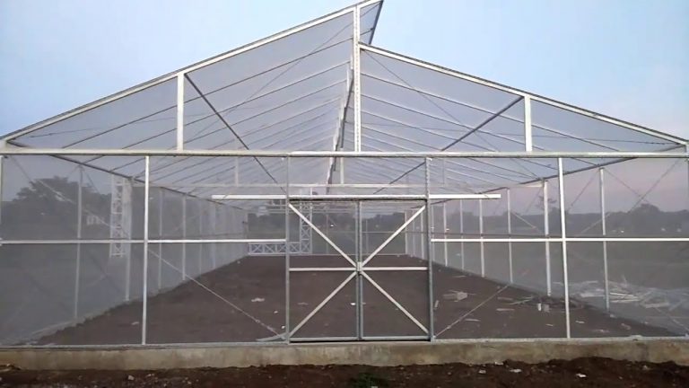 Greenhouse Baja Ringan